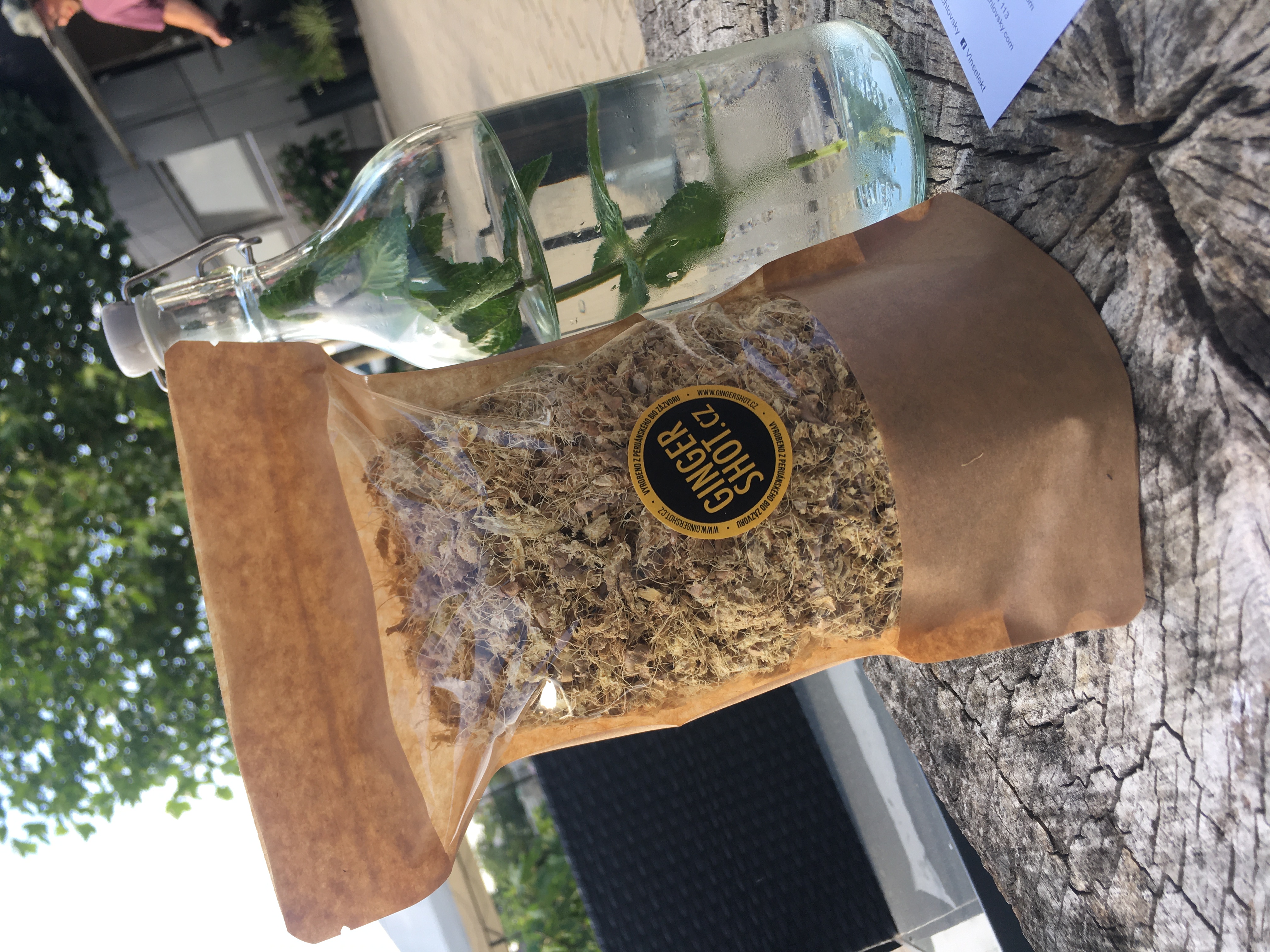 domácí ICE TEA z peruánského BIO zázvoru - GingerShot.cz